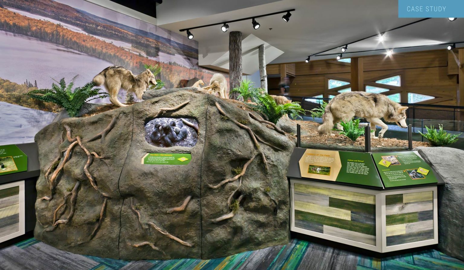 International Wolf Center | Split Rock Studios