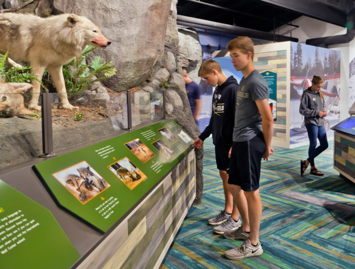 International Wolf Center | Split Rock Studios