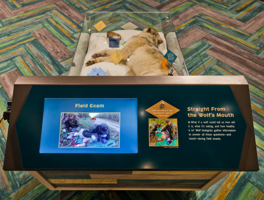 International Wolf Center | Split Rock Studios