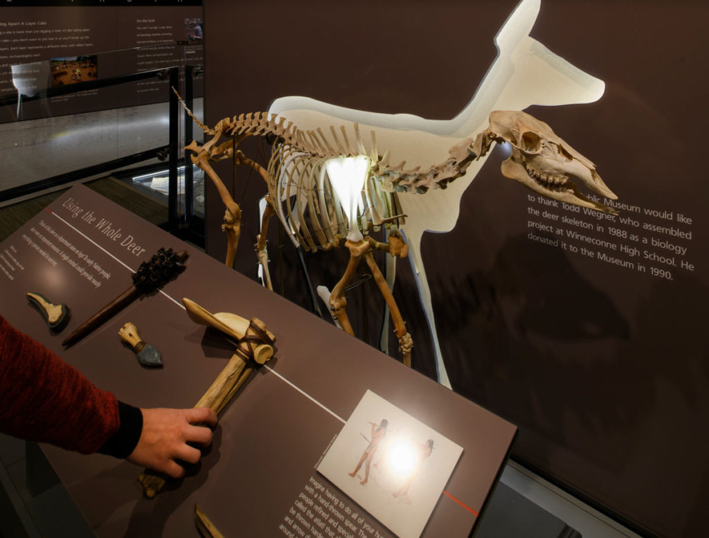 Oshkosh Public Museum | Split Rock Studios