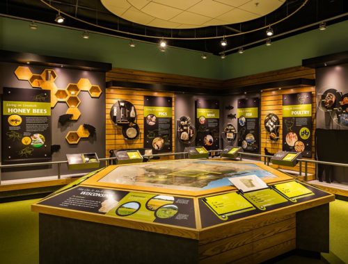 Museums | Split Rock Studios