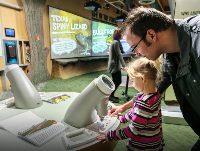 Nature Centers & Zoos | Split Rock Studios